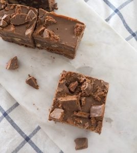 Tim Tam Hedgehog Slice - Create Bake Make