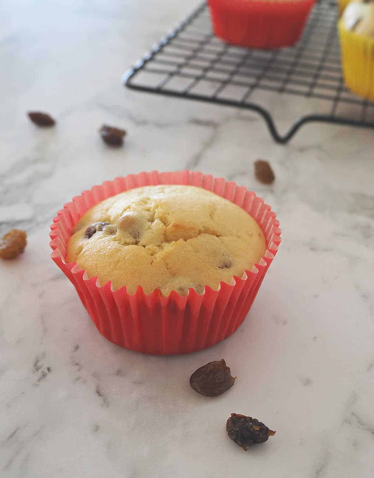Raisin Muffins - Create Bake Make