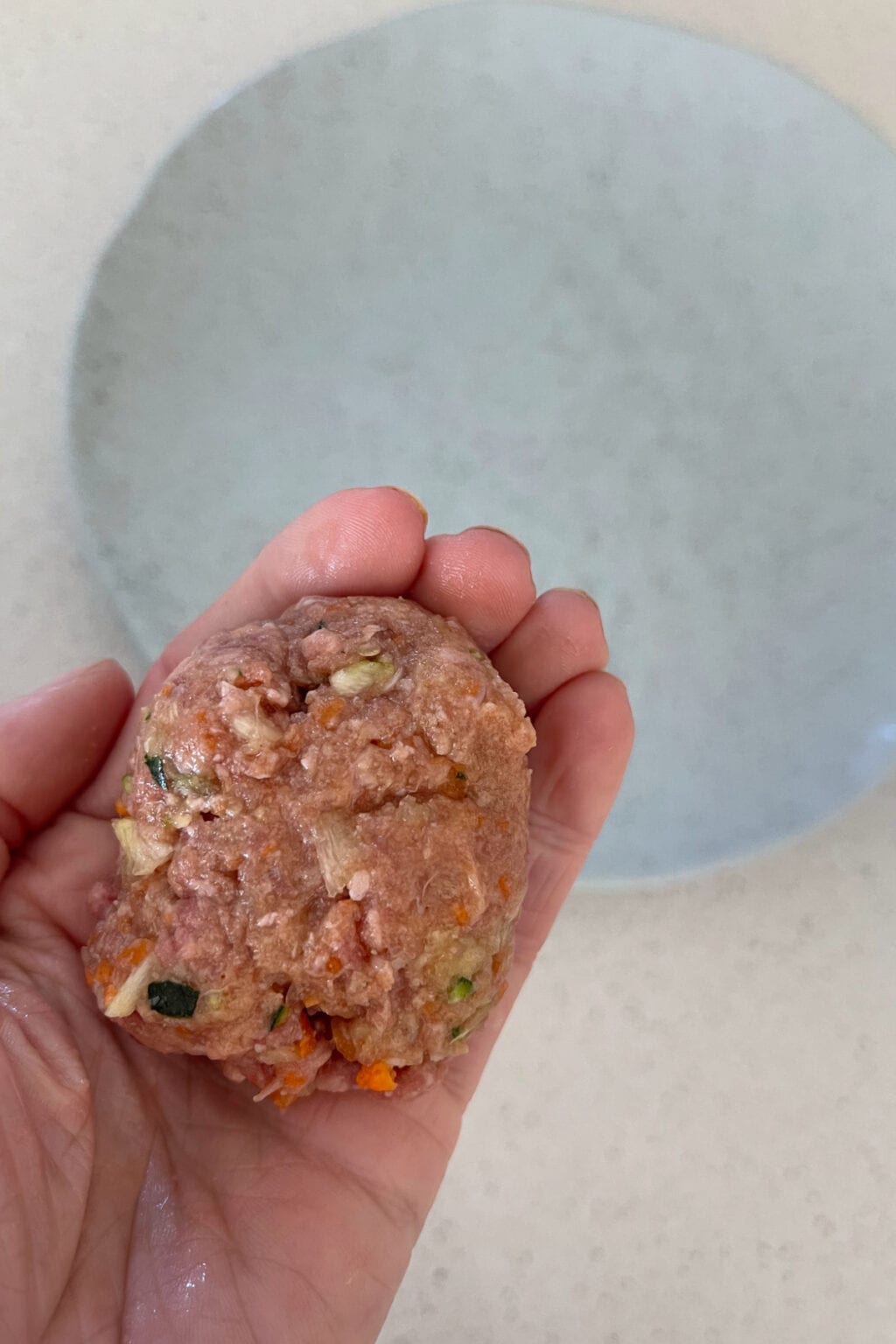 The BEST Beef and Vegetable Rissoles Recipe